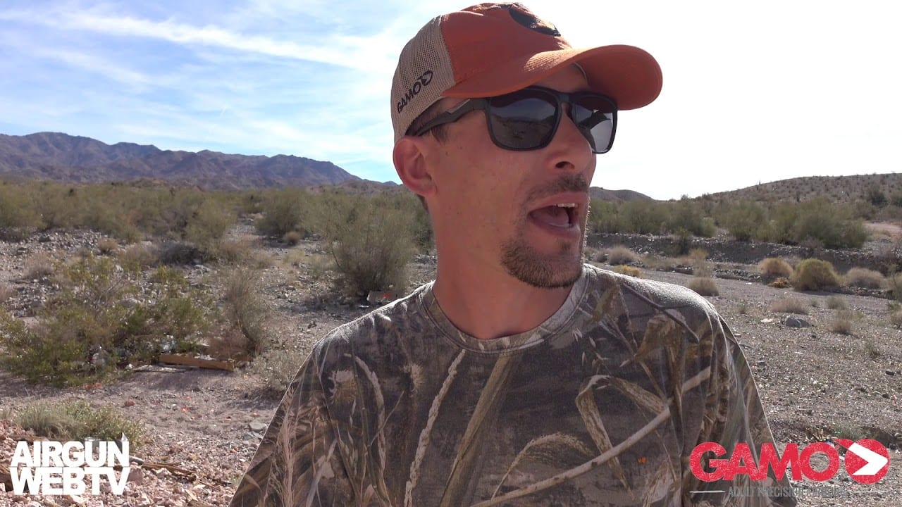 Gamo Swarm Magnum .22 - GAMO