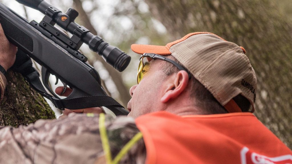 Small Lot Squirrels - .22 Caliber Pellet or .22 Long Rifle? - GAMO