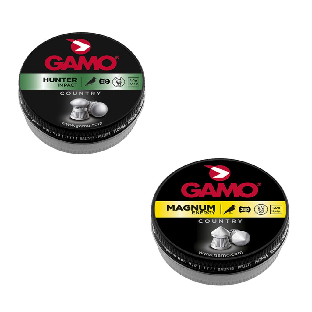 Gamo Viper Express Shotgun Rifle and .22 Cal Pellet