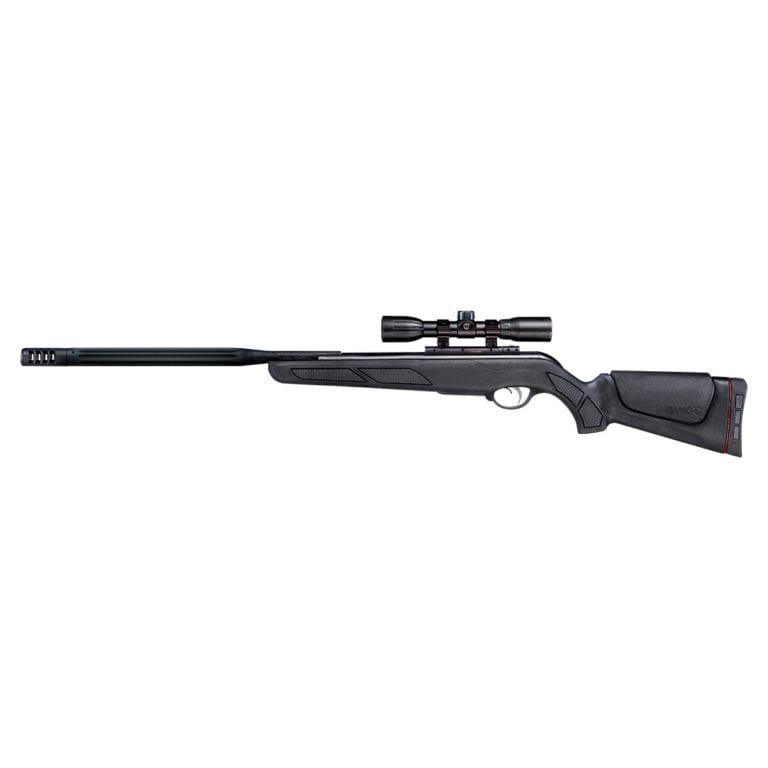 Gamo Viper Express Shotgun Rifle and .22 Cal Pellet