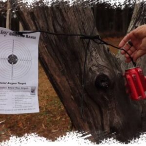 Gamo Tree Spider Airgun Target - GAMO fun way to shoot multiple targets!