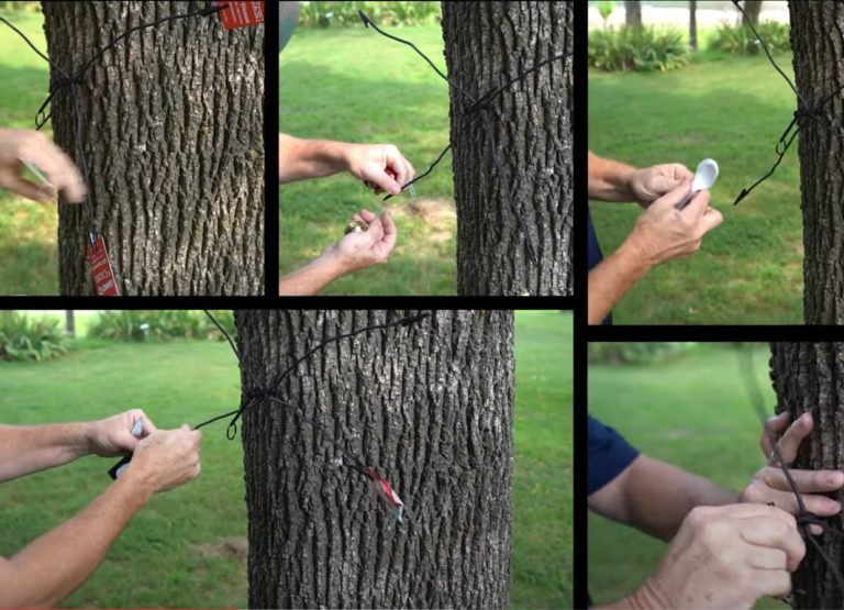 The New Gamo Tree Spider Target! - GAMO