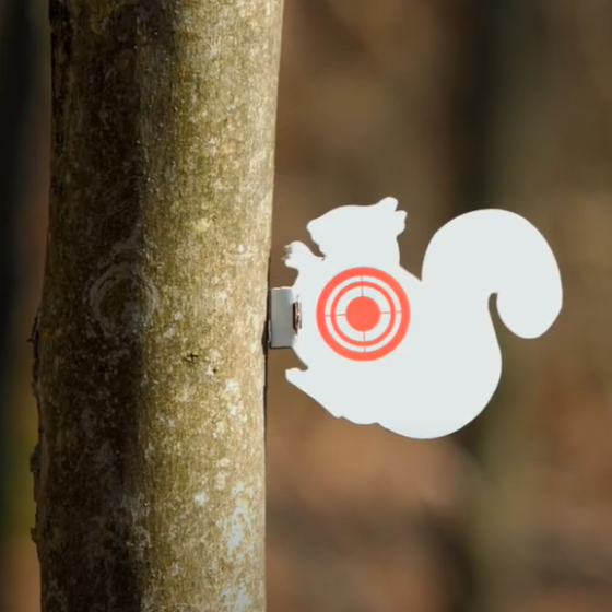 Gamo Squirrel Target Tough Cardboard Silhouette for shooting practice
