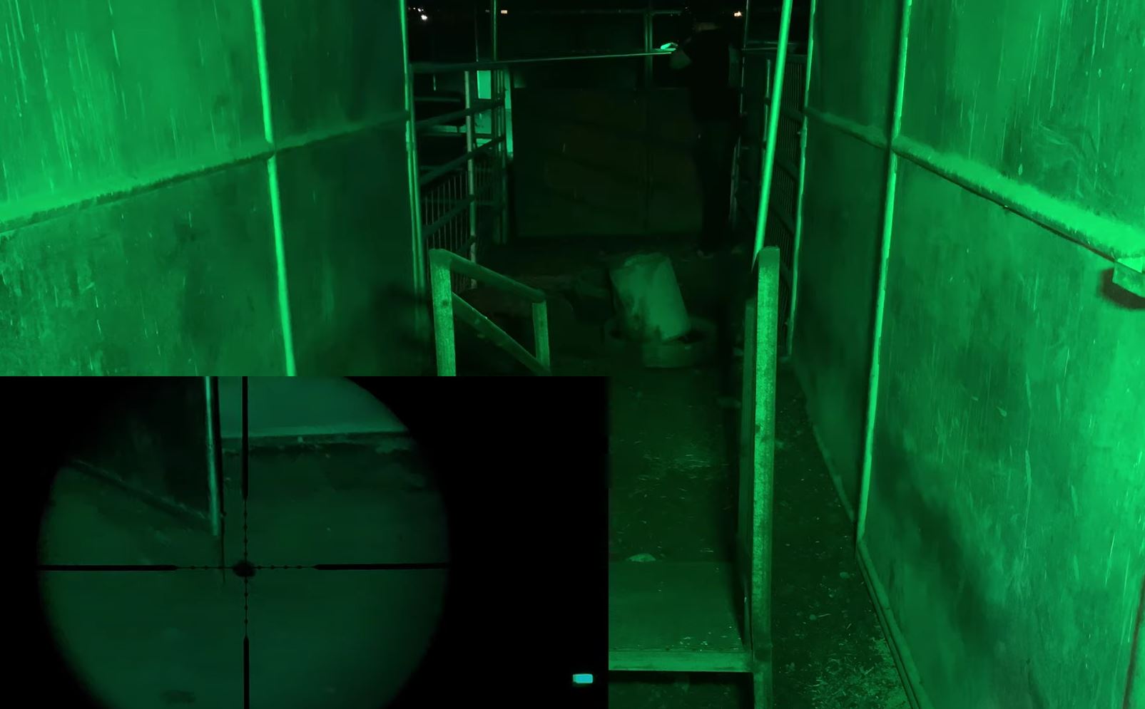 Creepy Night Rat Hunt On A Farm with Swarm Bone Collector GEN2