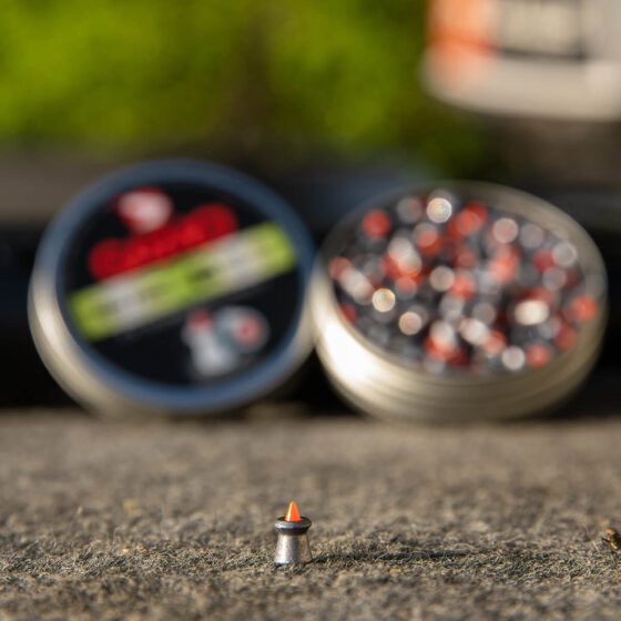 Exploring the Precision and Power of Gamo Red Fire Pellets